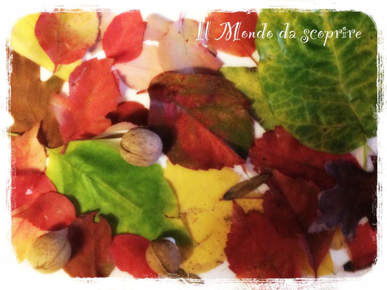 Il Mondo da scoprire: Quadro d'autunno.