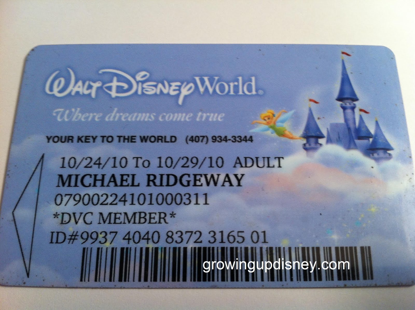 Growing Up Disney: Traditions & Your Key to the World