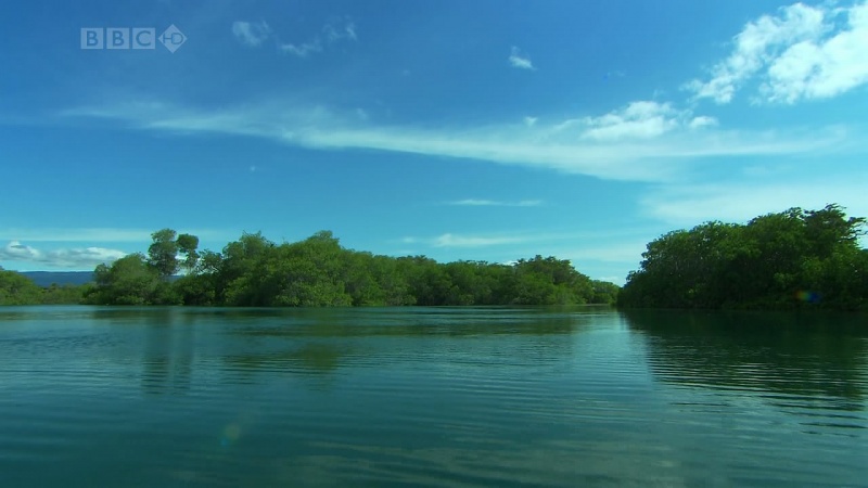 BBC - Galapagos ~ Store Free Download Movies