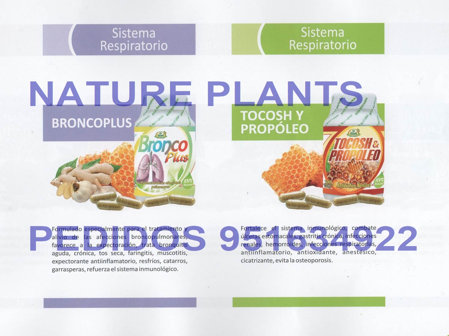 MAS NATURAL CATALOGO CAPSULAS