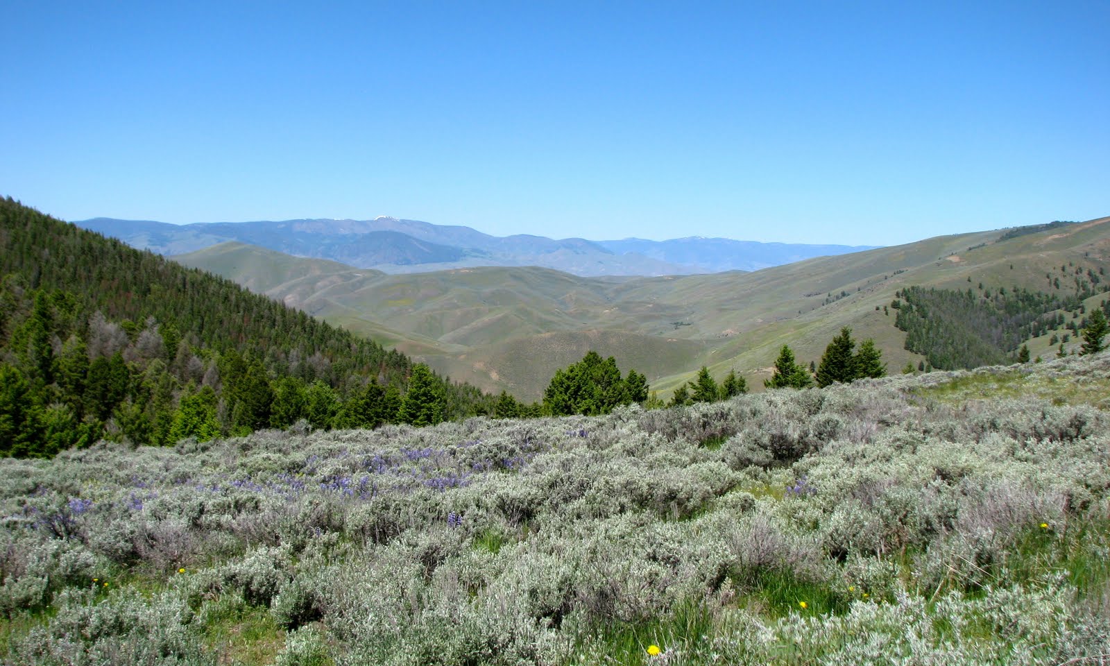 Following Lewis and Clark: Lemhi Pass