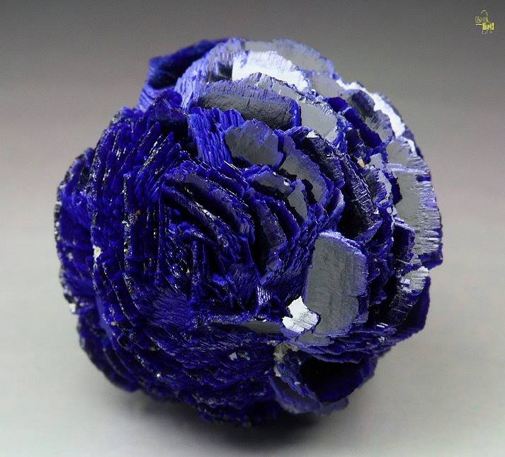Azurite ‘Rose’ – Ανοπαία ατραπός