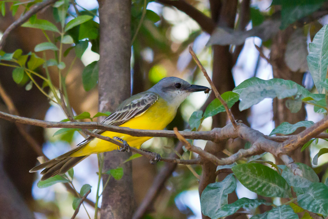 Costa Rica Day 18: Palo Verde | The Perfect Day Factory