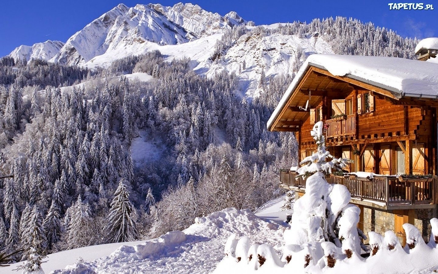 Descubre Polonia : El clima