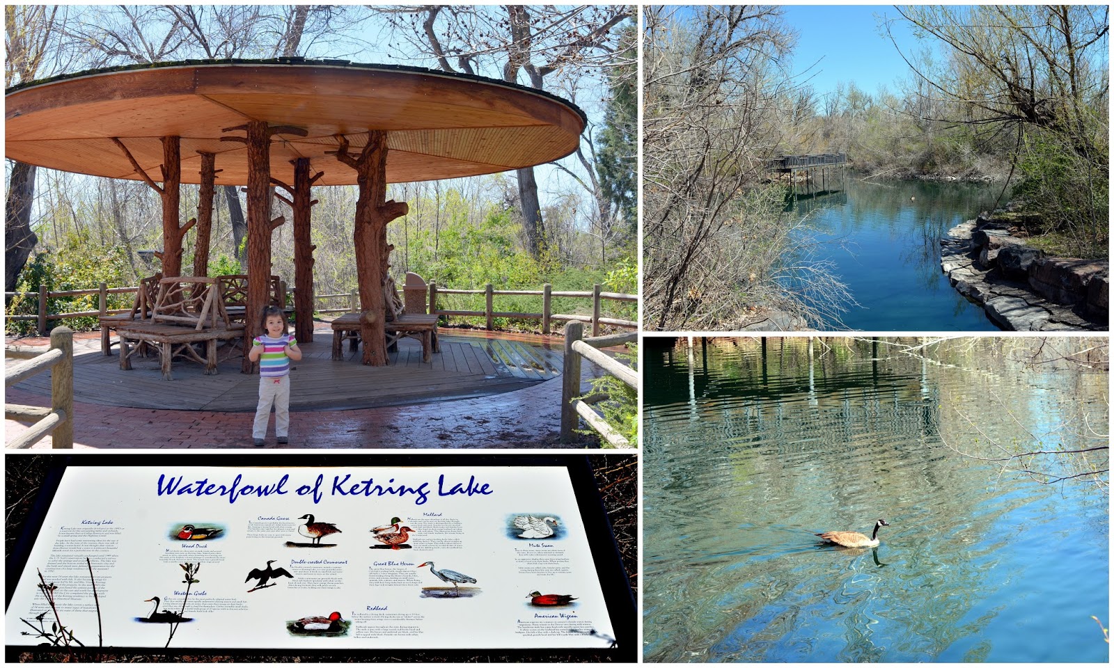 Mille Fiori Favoriti: Littleton Museum--a Trip Back in Time