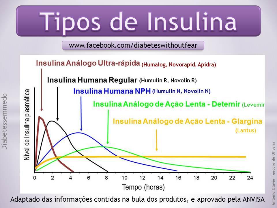 ESCOLA FV.FABIO VICENTINI TREINAMENTO PARA HABILITADOS: TIPOS DE ...