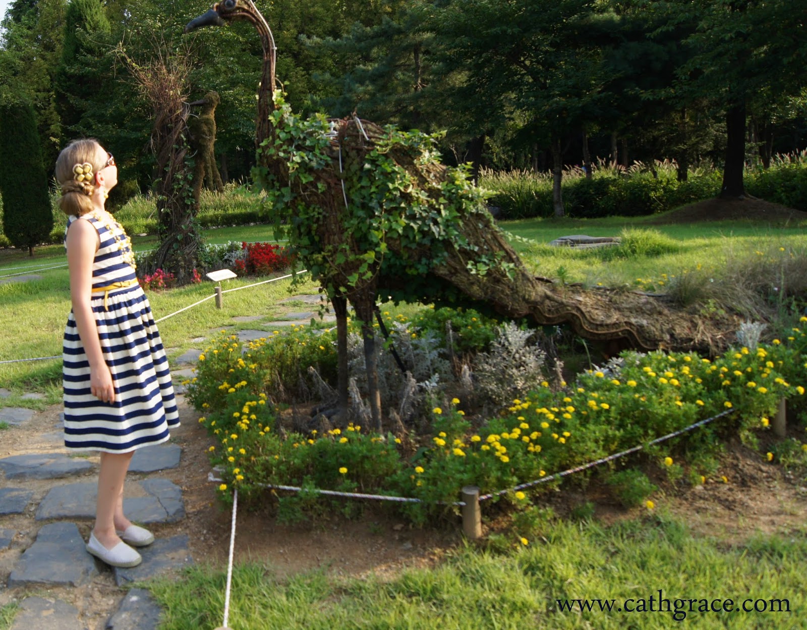 Winter Wonderings Wanderings & Whatnot: Kicking Off Operation Project ...