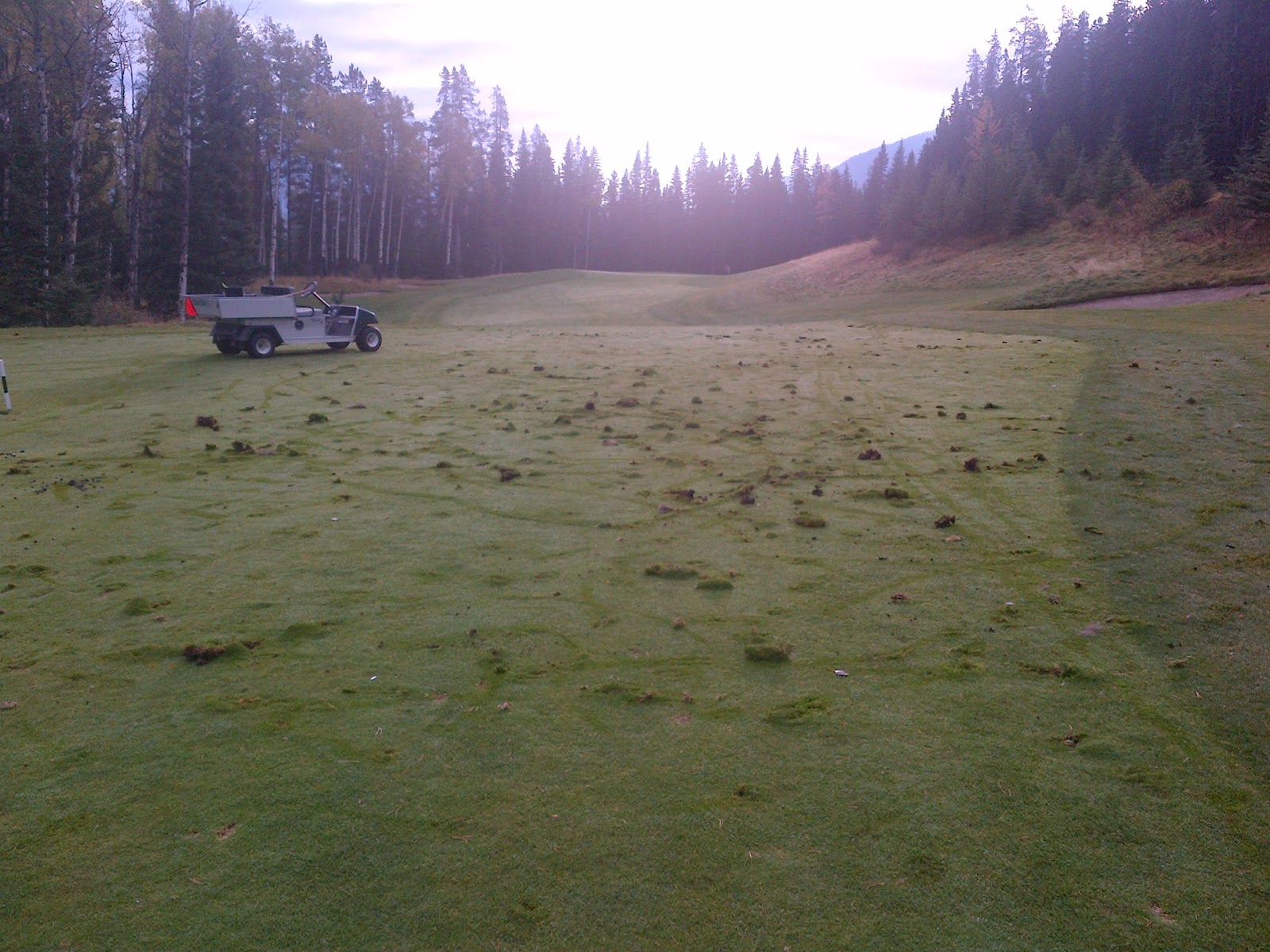 Stewart Creek Golf Club Maintenance: WILDLIFE