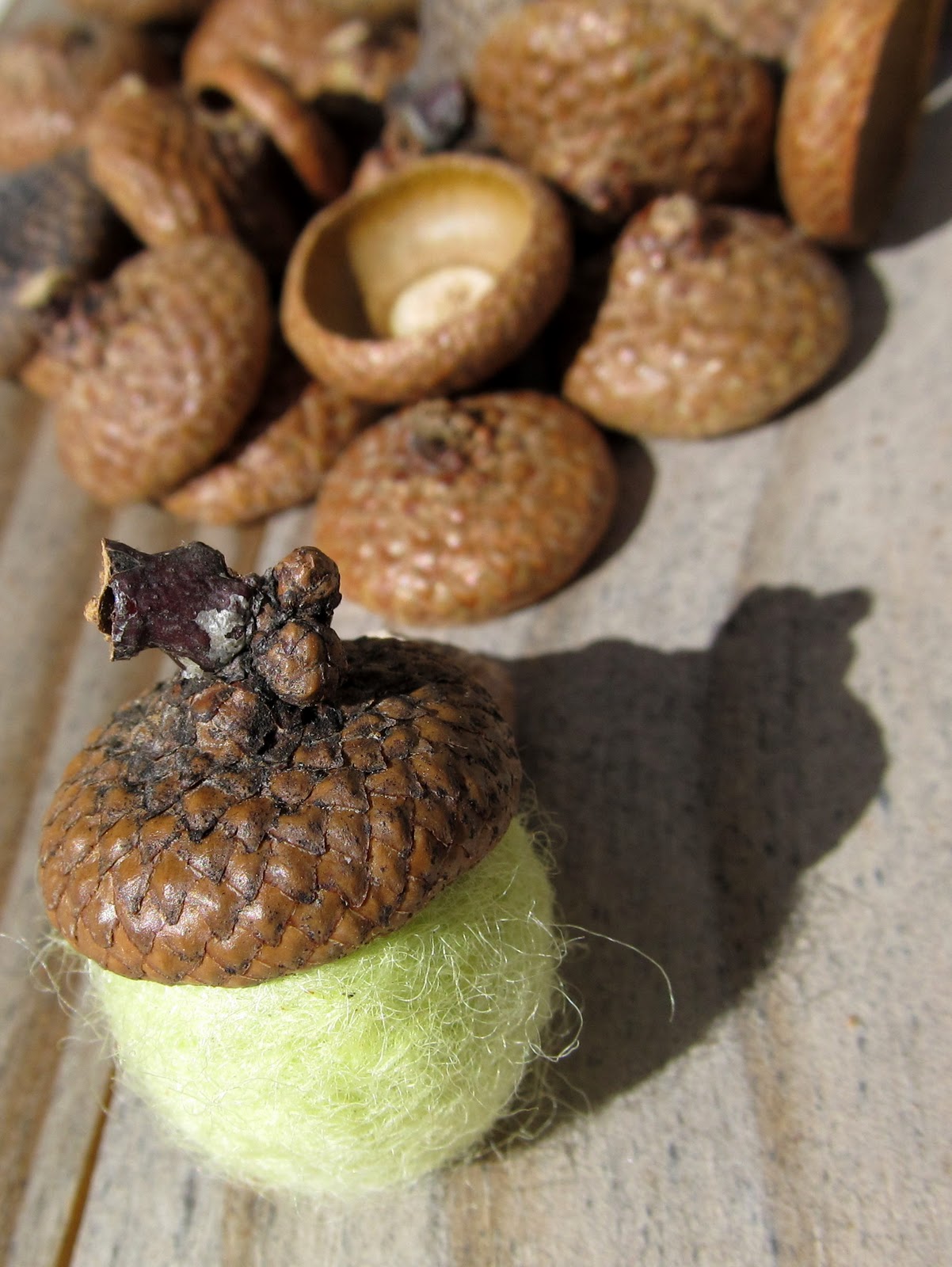 Craftaphile: Beginner Needle Felting: Felted Acorns