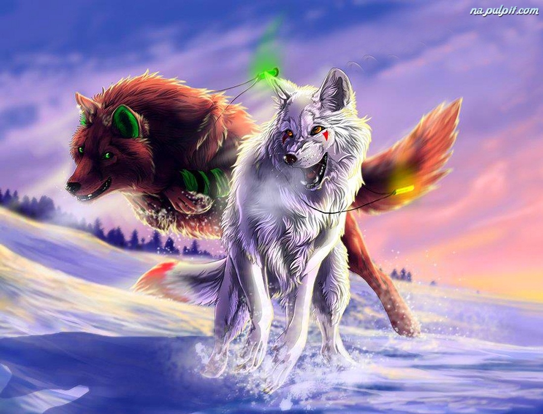 Wilki: Galeria
