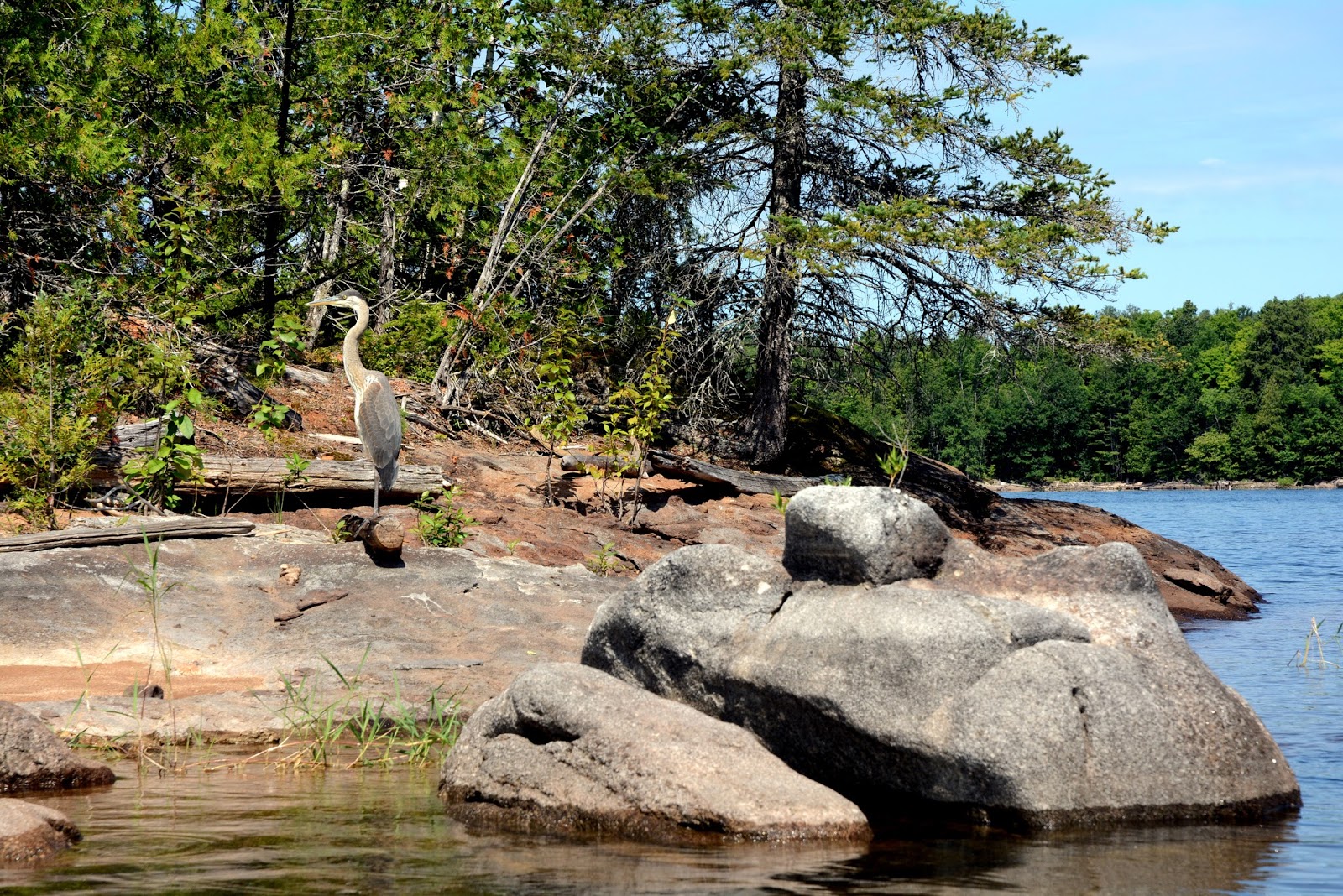 Lac du poisson Blanc
