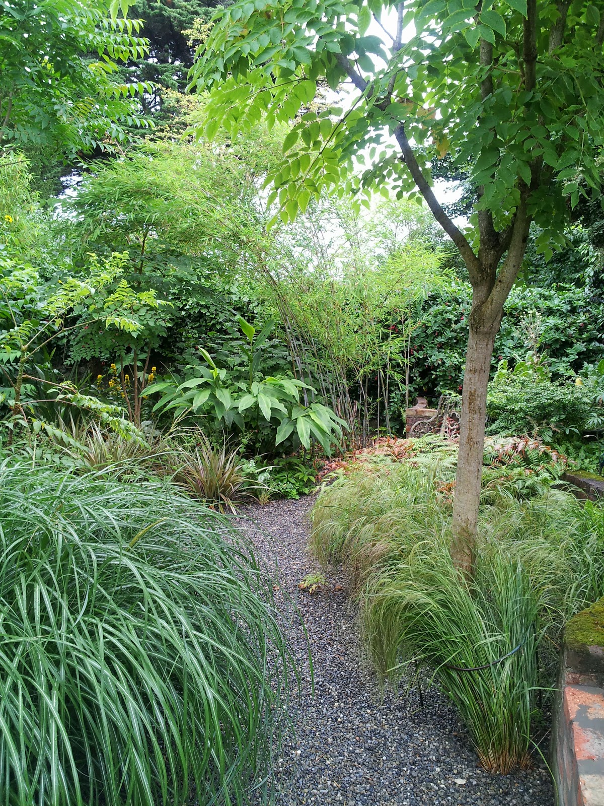Exotic gardening @ 55° North: The Dillon Garden, Dublin. July 2013