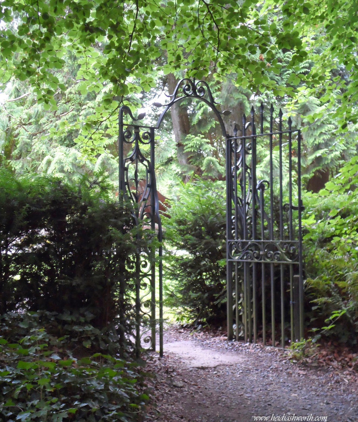 DUNHAVEN PLACE: My Trip to Ireland Day Four: Everything You Need to ...