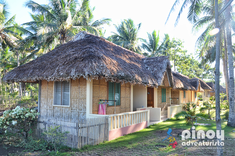 BEACH RESORTS IN DONSOL, SORSOGON: Amor Farm Beach Resort | Blogs ...