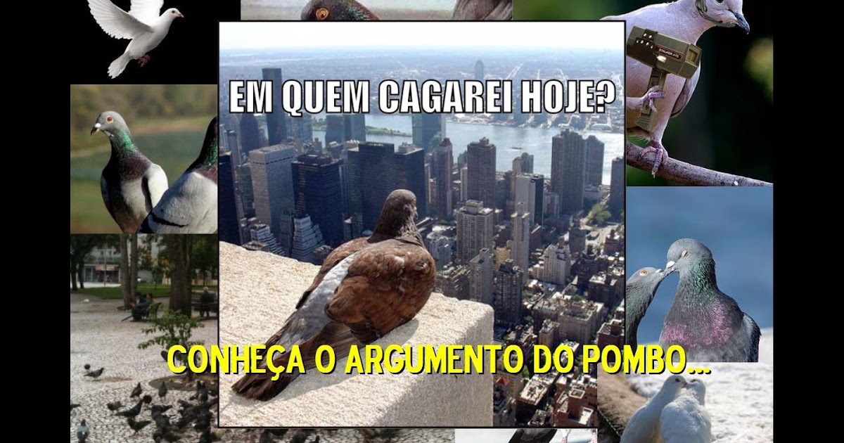 Filosofia Hoje: O Argumento do Pombo