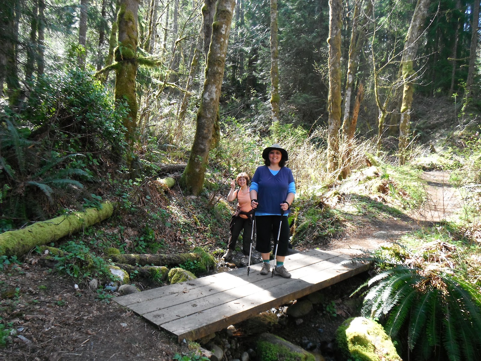 YOH!: Talus Rocks Hike at Tiger Mountain