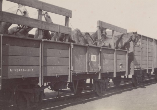 Riding Aside: Horse Transportation.. a bit of history