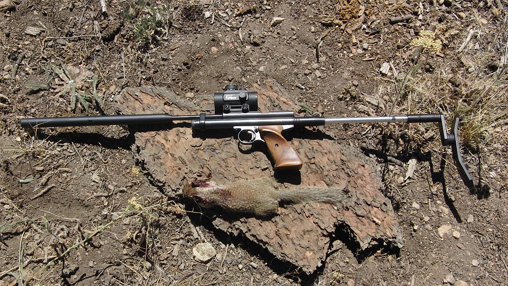 Tofazfou's HPA (high powered air gun) Expeditions: Scenery and Air Guns ...