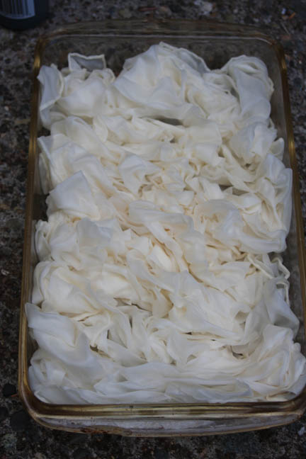 Pacific Rain: I think I'm hooked