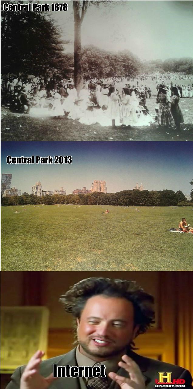 Xilofobia-medo de xilofones: 2013