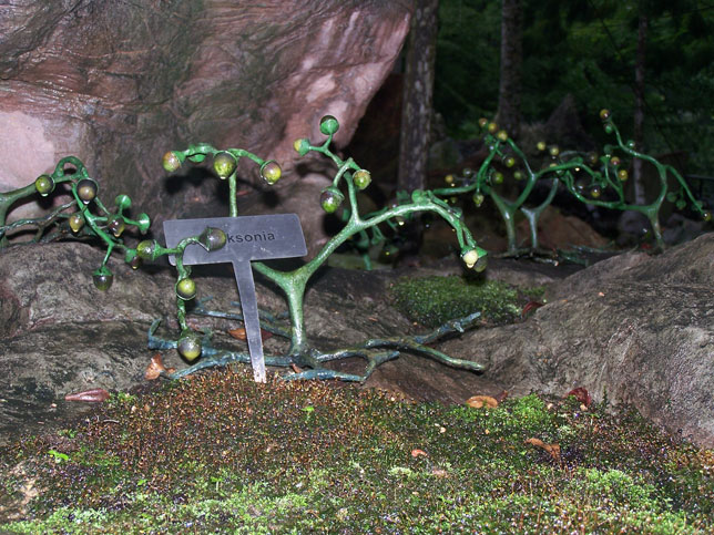 Cooksonia - JungleKey.fr Image