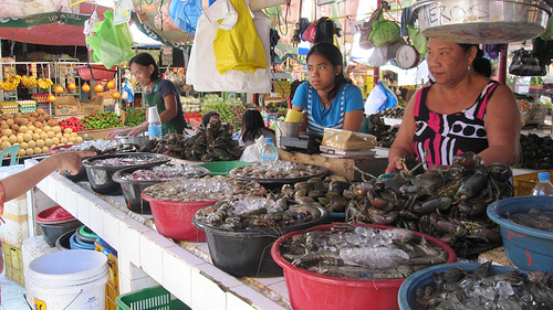 WHY I VALUE LIFE: D' TALIPAPA