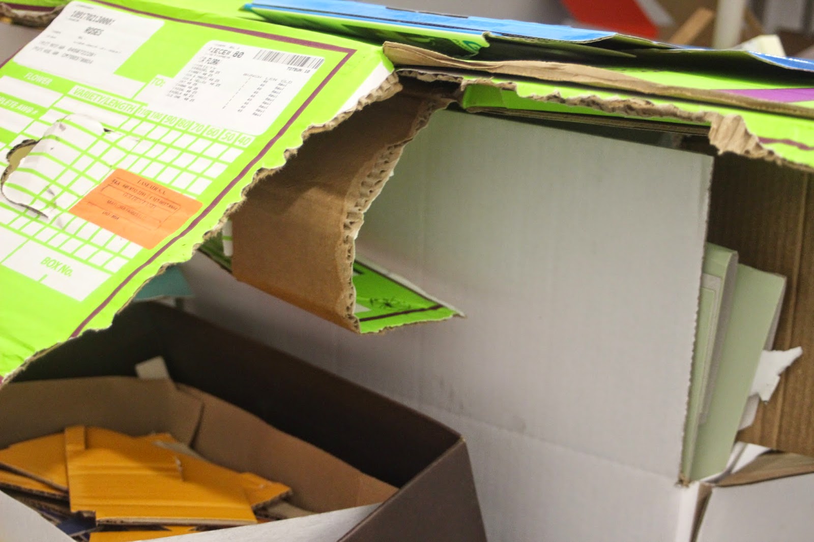 Everything is surface.