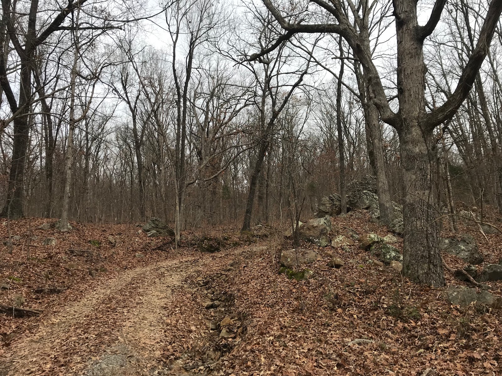Illinois Botanizer: River to River Trail across southern Illinois Day 1 ...