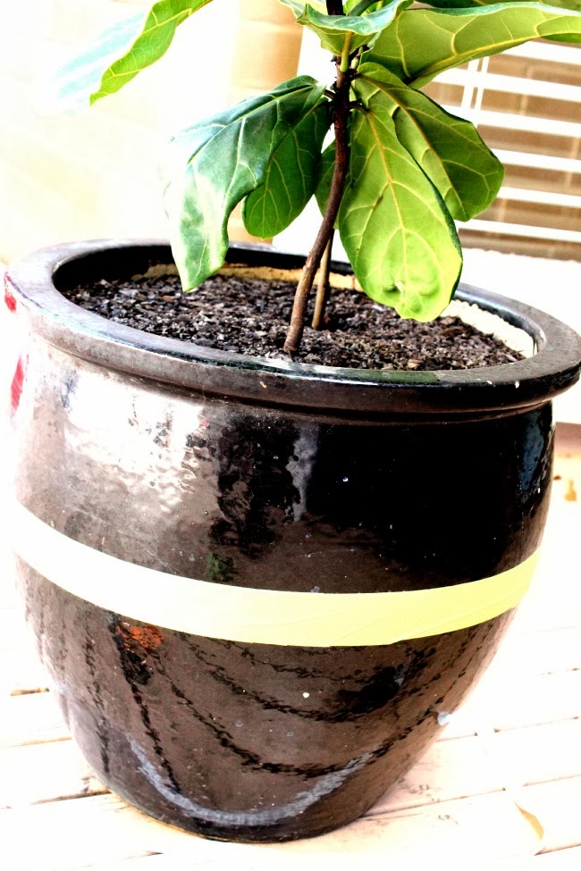 Hunted and Made: DIY Painted Triangle Pot Plant & Fiddle Leaf Fig