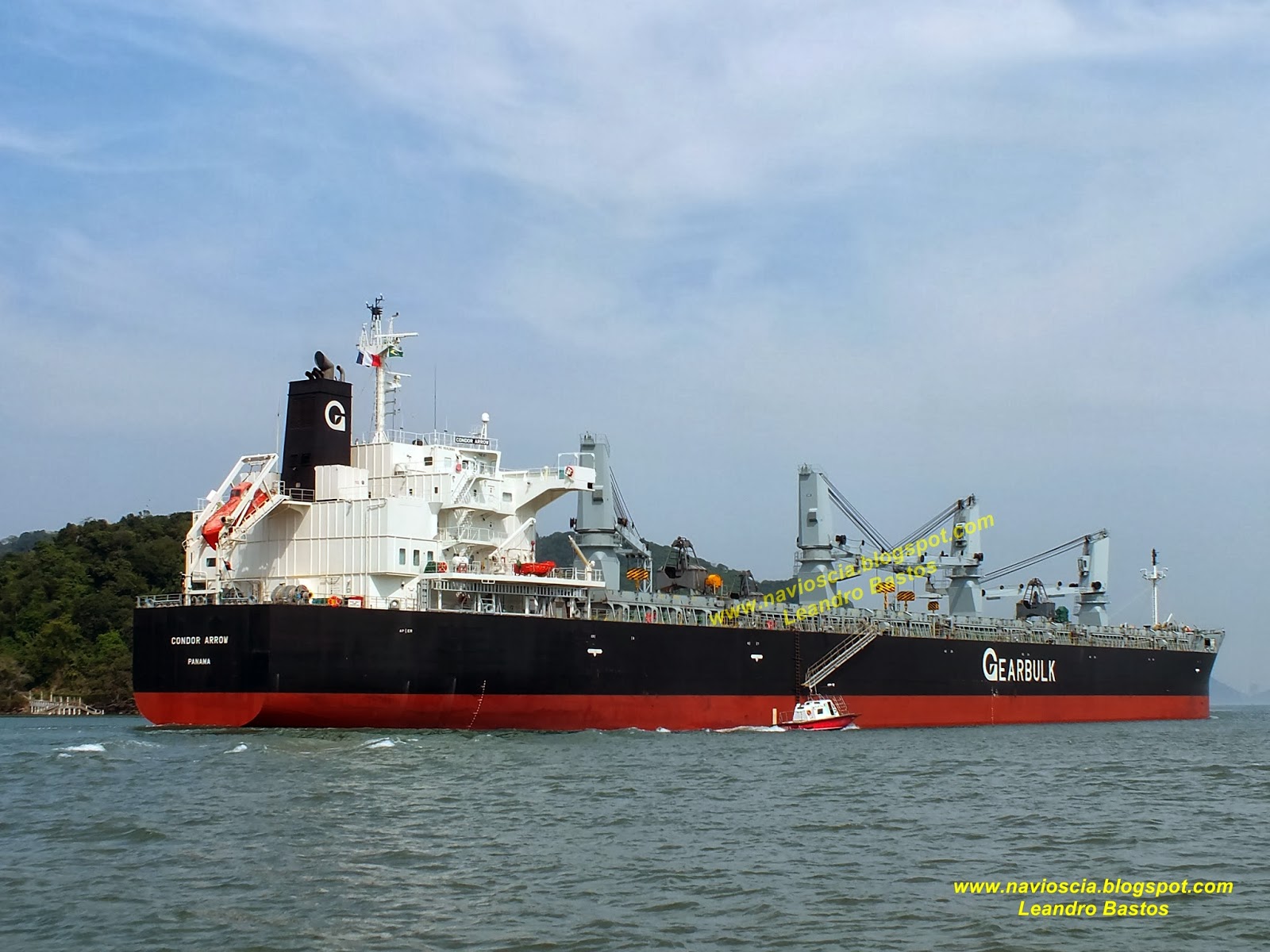 Navios de Santos & CIA: Navio CONDOR ARROW