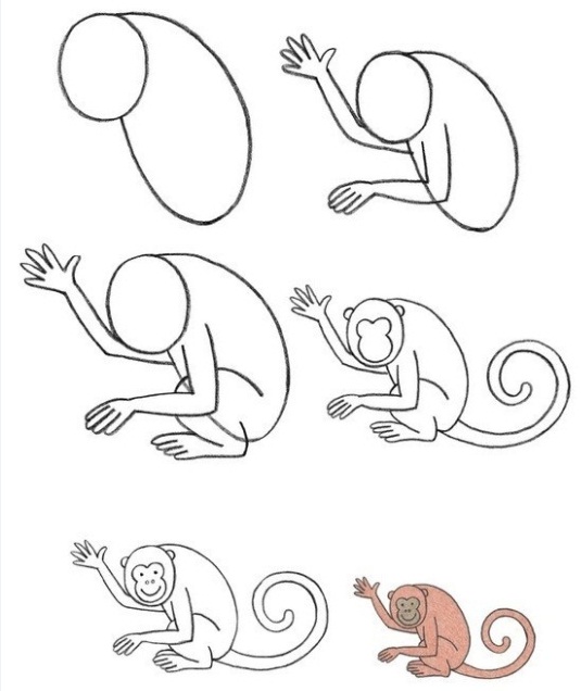 Hogyan rajzolj… állatot | A napfény illata