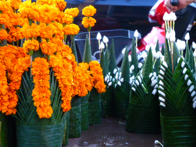 SinhCity: Flowers of Laos