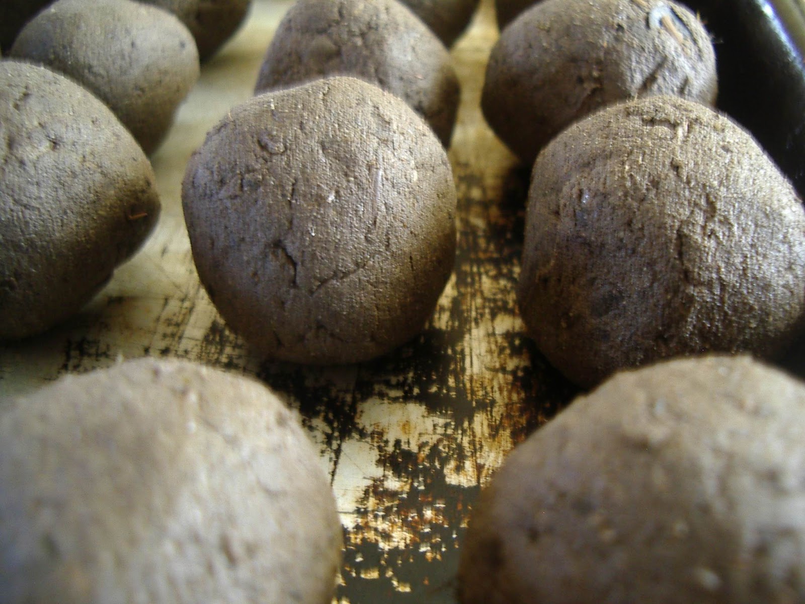 Little City Farm: Make your own: Permaculture Seed Balls