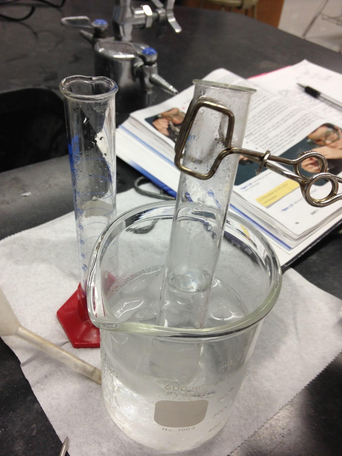 Nicolette's Chem Blog 2013: Solubility Lab Report
