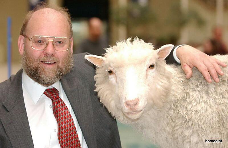 How Human Cloning Work Part 1 - homeOint