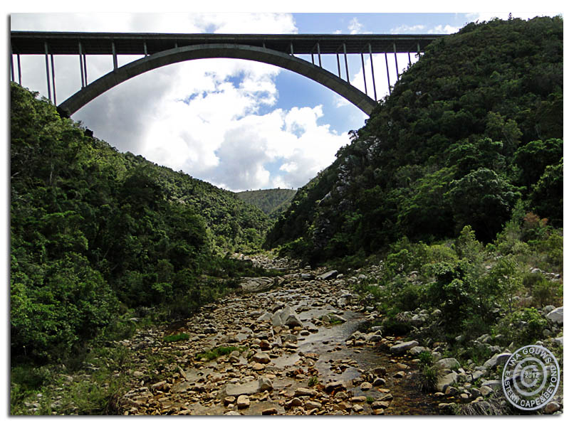 Eastern Cape & Beyond: Van Stadens Bridge
