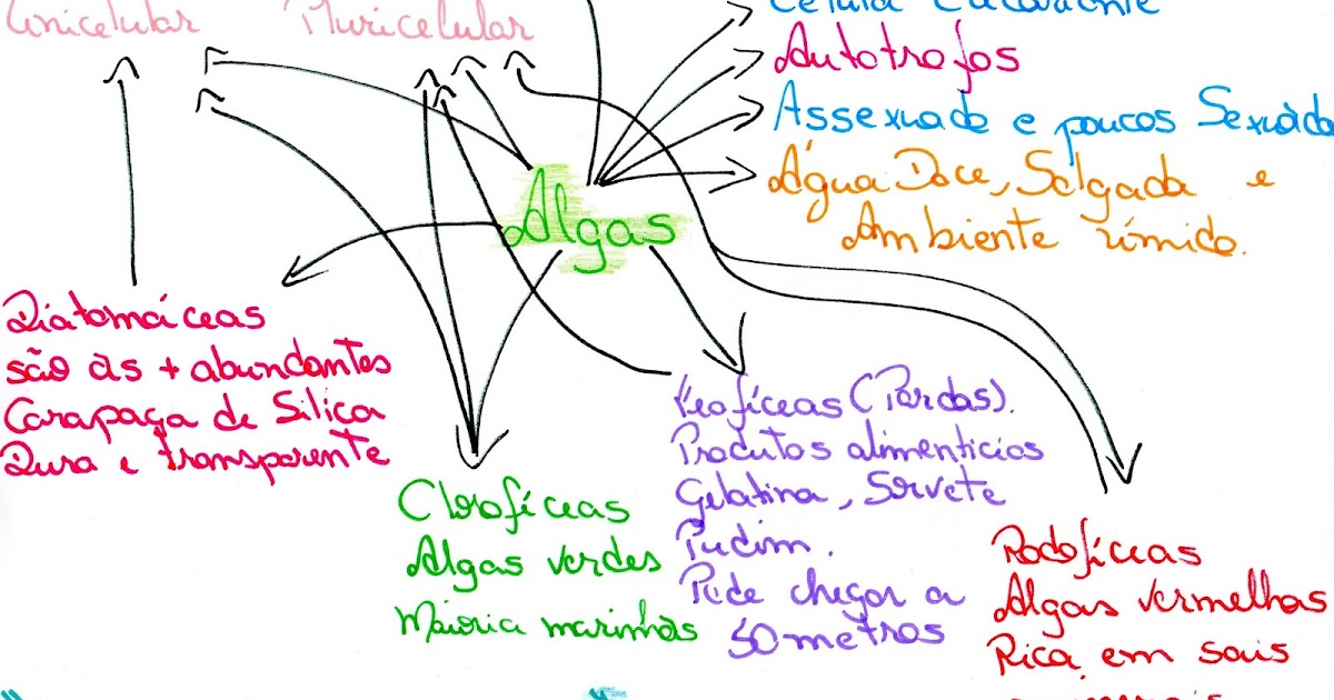 Ciências: Hoje, amanhã e sempre.: Mapa Mental Algas