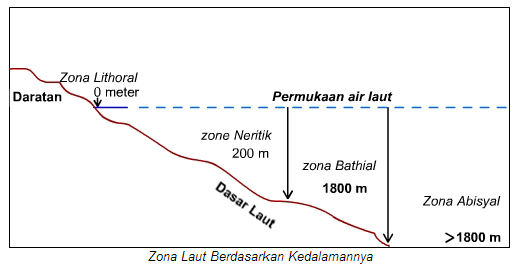 Open Your Mind ^_^: Laut
