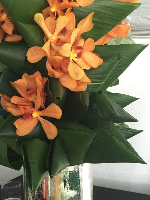 Kanawha Garden Club: The Amazing Art of Leaf Manipulation