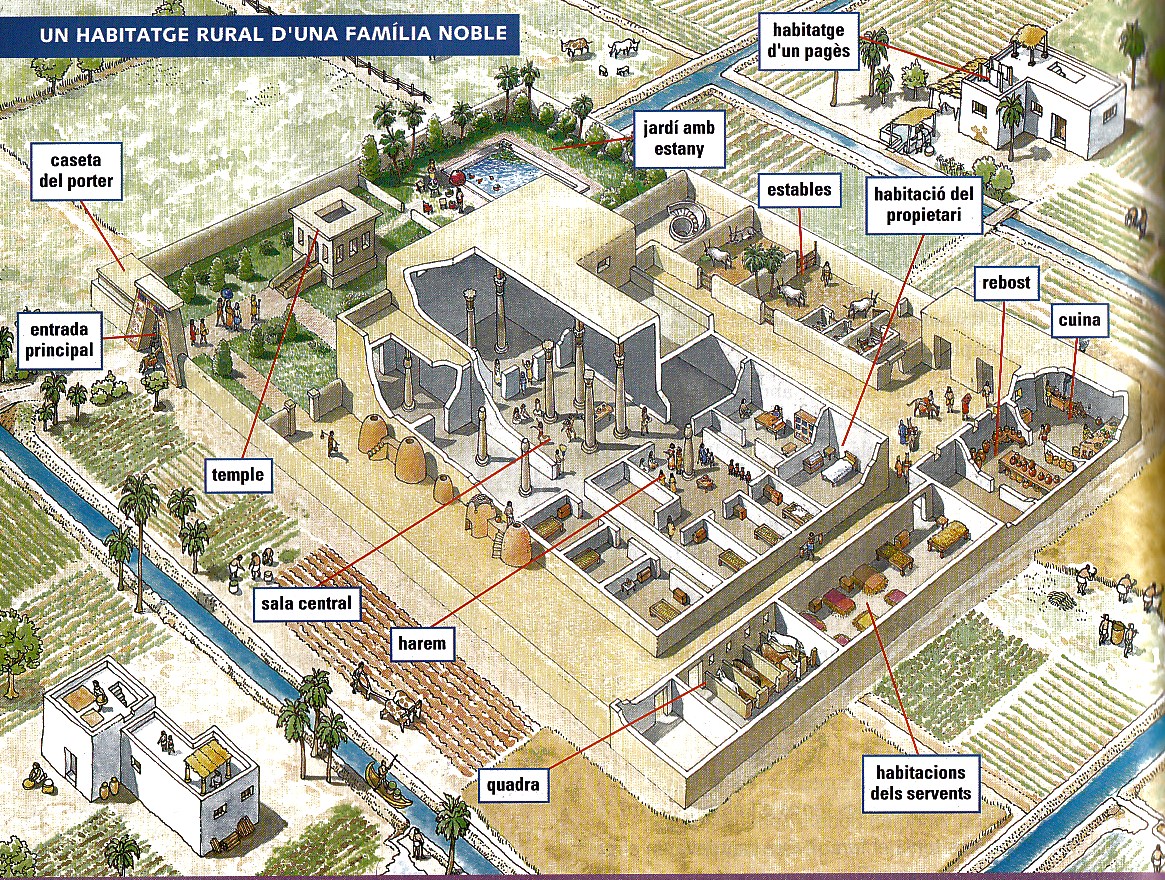 EL BLOG DE LES CIENCIES: HISTORIA: l'Antic Egipte