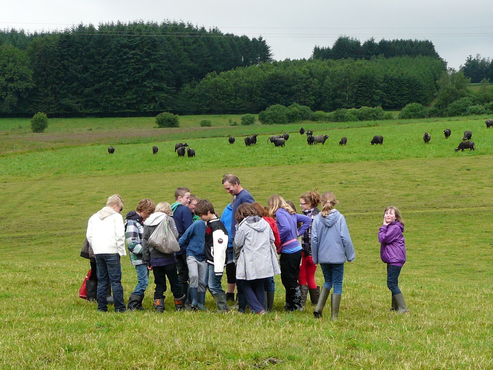 Blog de la 5e A de l'Institut Saint-Joseph de Neufchâteau: Visite de la ...