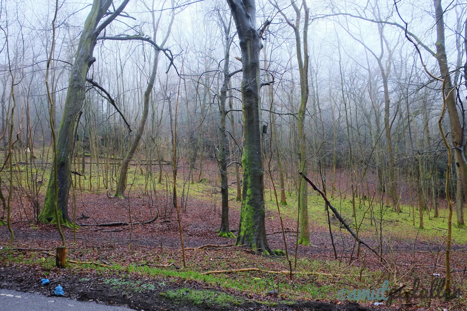 The Smut Pedaller: Surrey Hills and Winterfold Forest