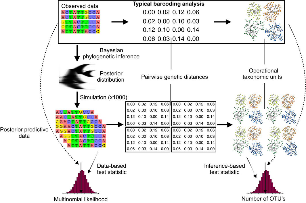 Biodiversity Science: Bye, bye K2P