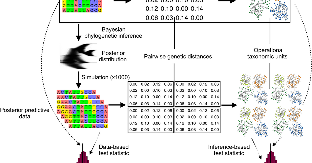 Biodiversity Science: Bye, bye K2P