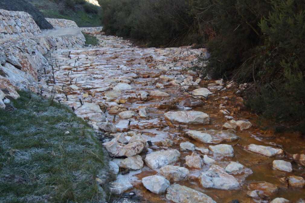 Ingeniería de la restauración ambiental y paisajismo: Canal calizo ...