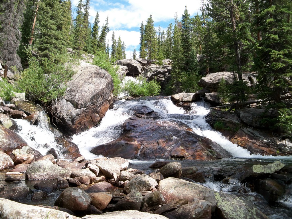 NATURE NOTES: August 2012