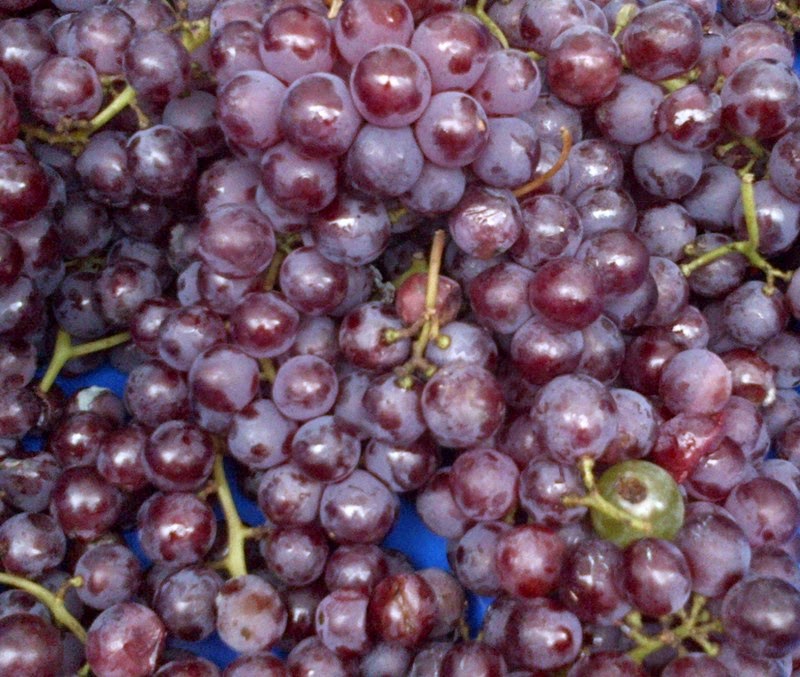 The Produce Savant: What the heck is that? Concord grapes