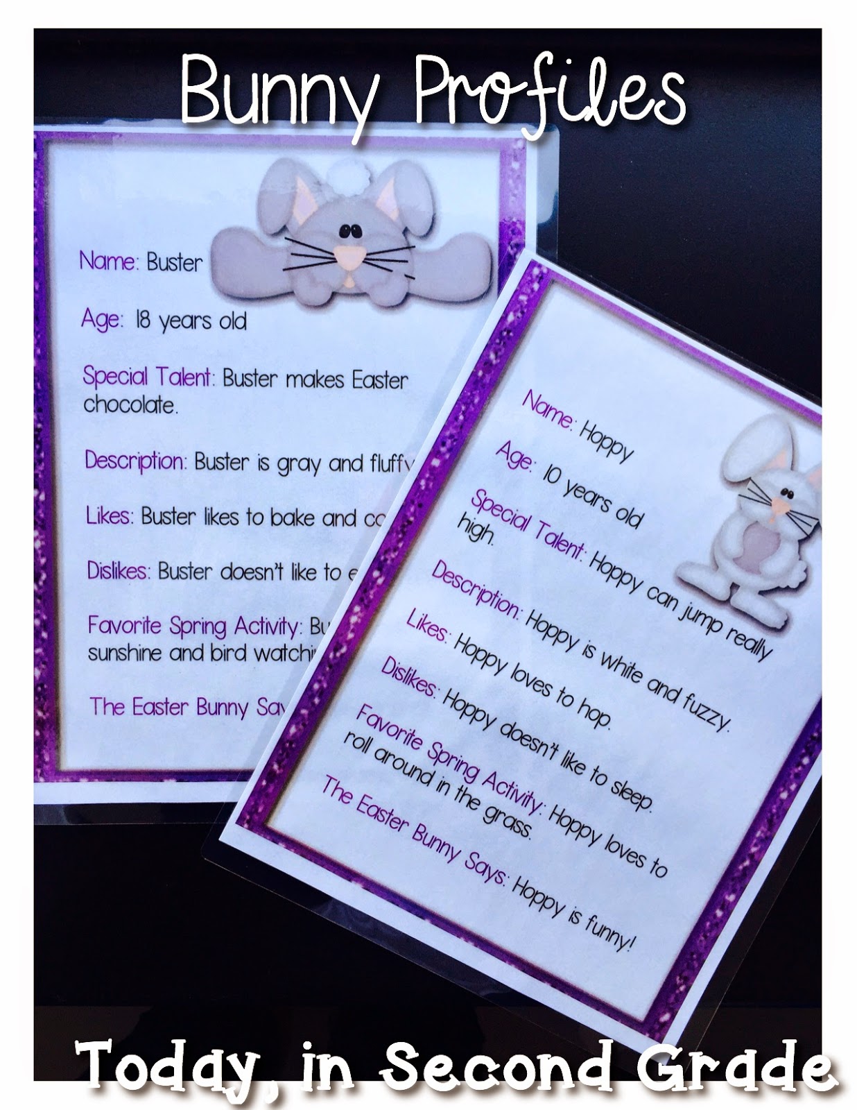 Bunny Profiles - Today in Second Grade