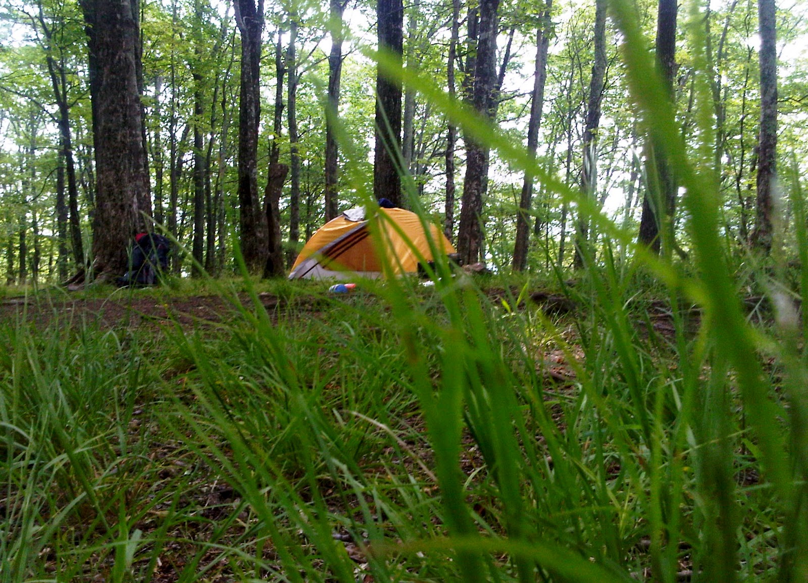 NC BACKCOUNTRY: Max Patch