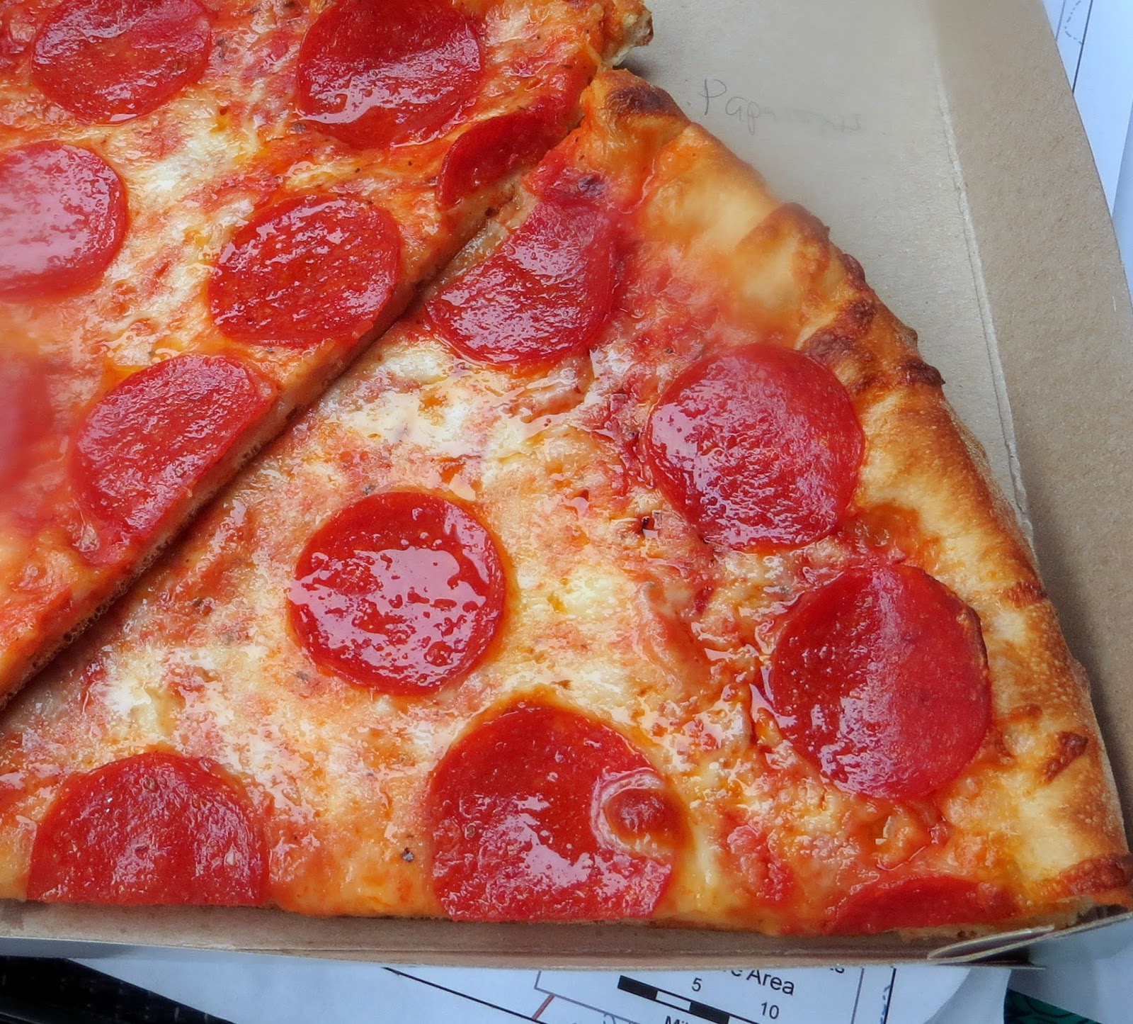 The Rochester NY Pizza Blog: Papa Roni's, Pavilion